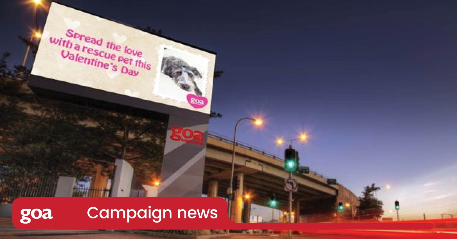 Spreading love for pets this Valentine’s Day